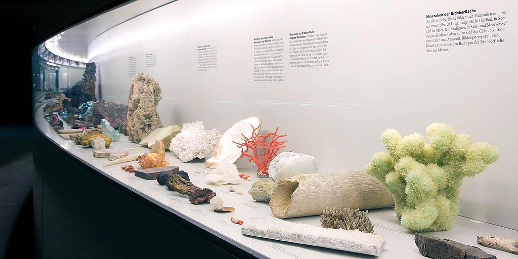 Natural History Museum Bern - Museen Bern